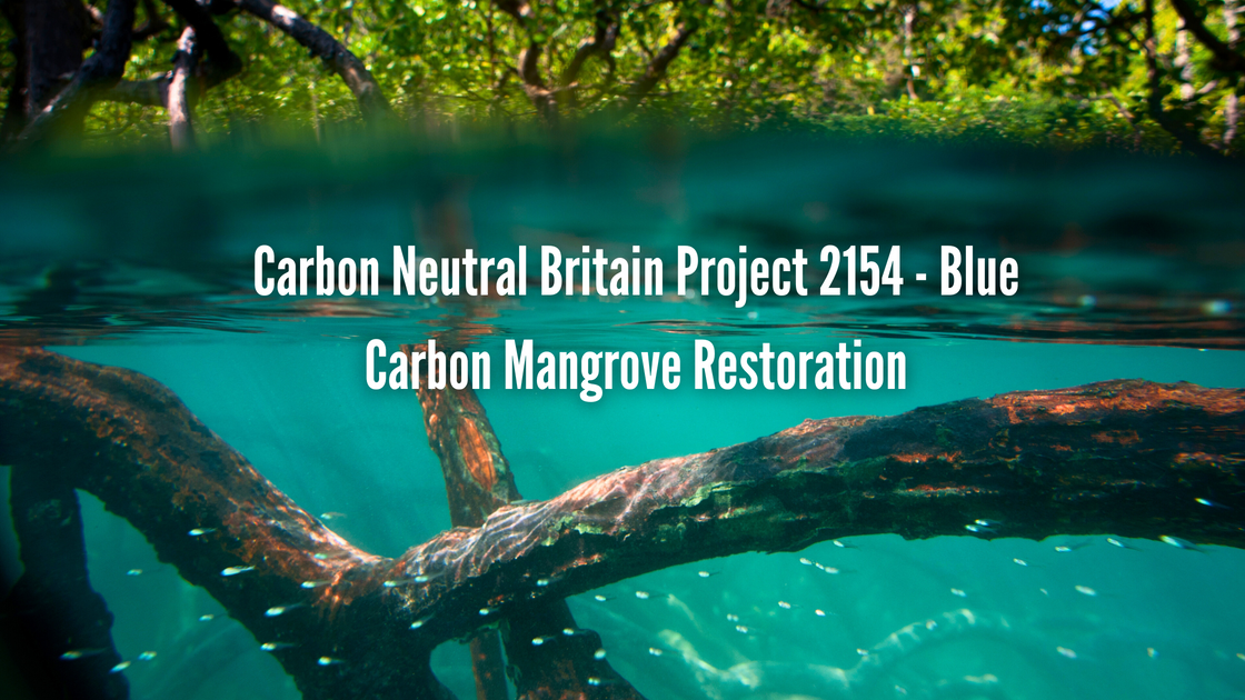 Project 2154 - Blue Carbon Mangrove Restoration Project – Carbon Neutral Britain