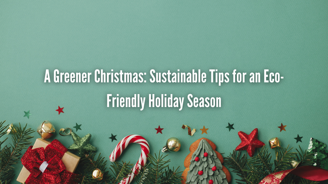A Greener Christmas: Sustainable Tips for an Eco-Friendly Holiday Seas ...