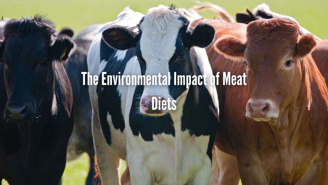 The Environmental Impact of Meat Diets – Carbon Neutral Britain