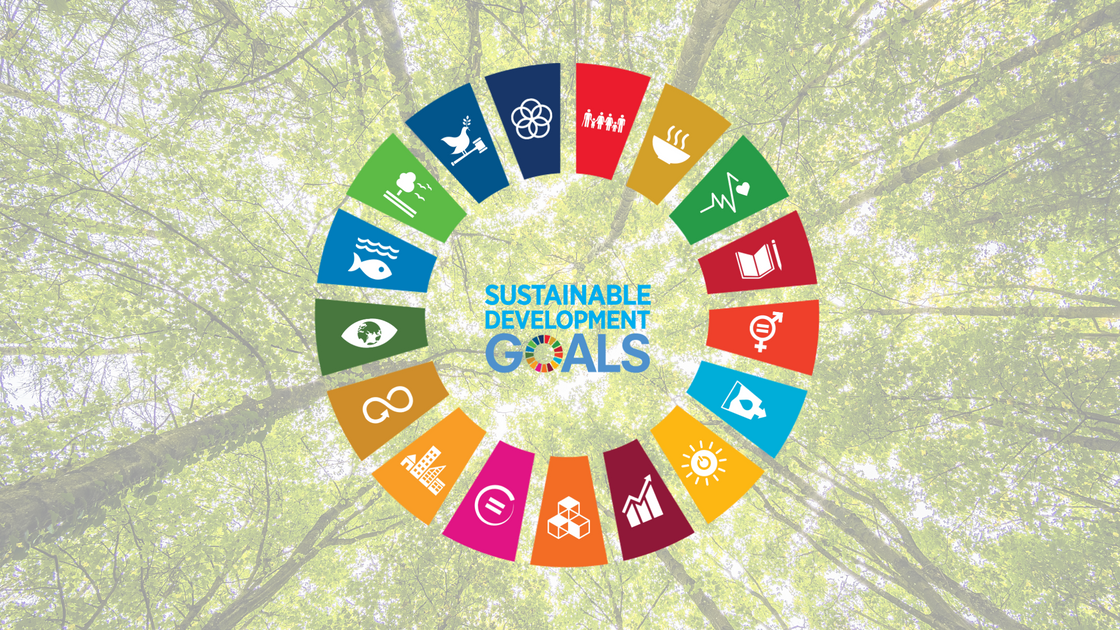 United Nations Sustainable Development Goals – Carbon Neutral Britain