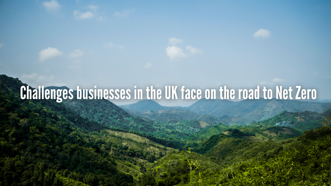 Challenges businesses in the UK face on the road to Net Zero – Carbon ...