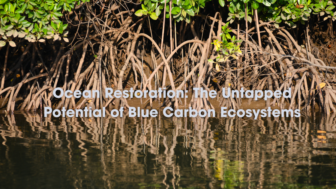 Ocean Restoration: The Untapped Potential of Blue Carbon Ecosystems ...