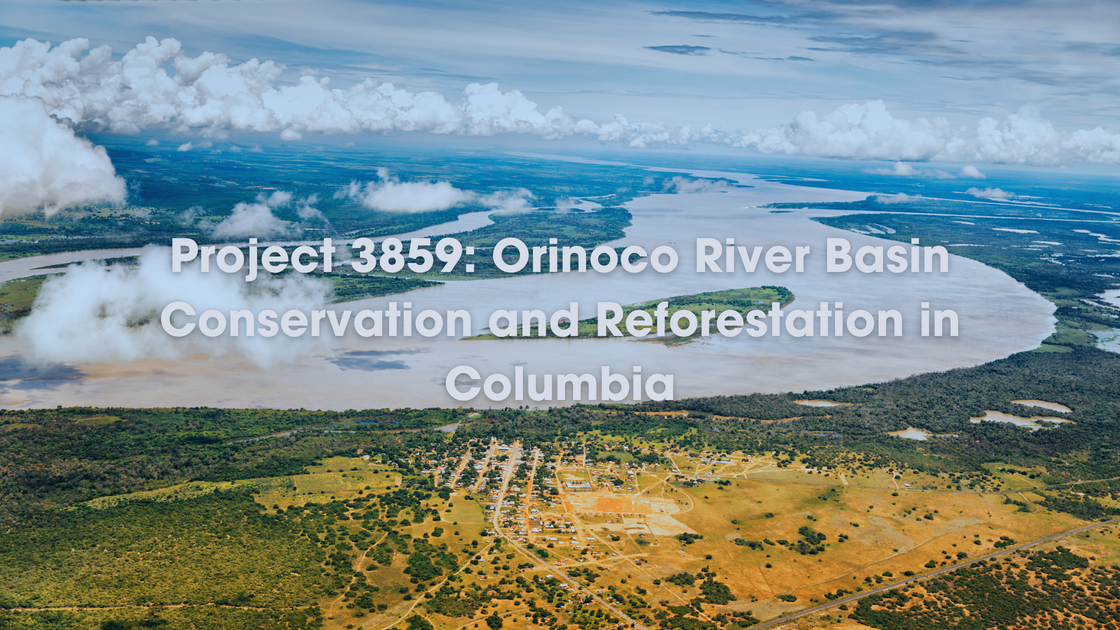 Project 3859 – Orinoco River Basin Conservation and Reforestation in C ...