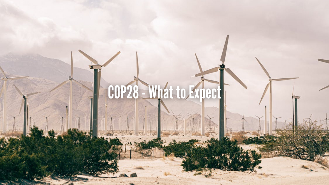 COP28 - What to Expect – Carbon Neutral Britain