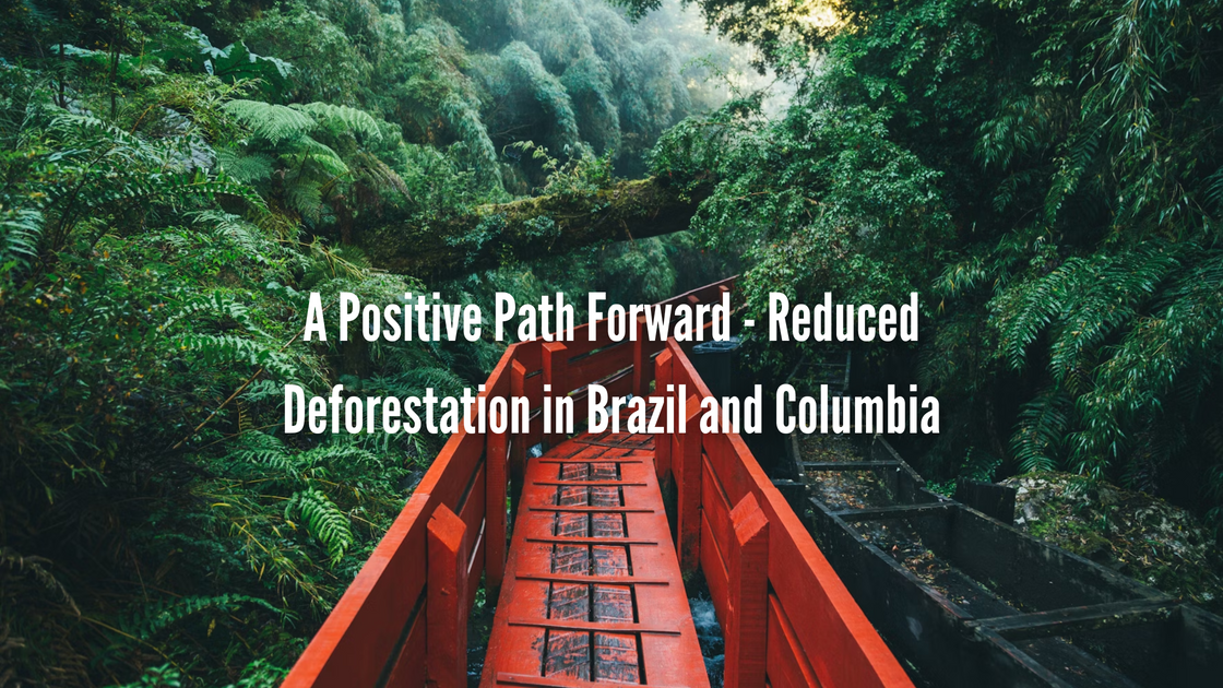 A Positive Path Forward - Reduced Deforestation in Brazil and Columbia ...