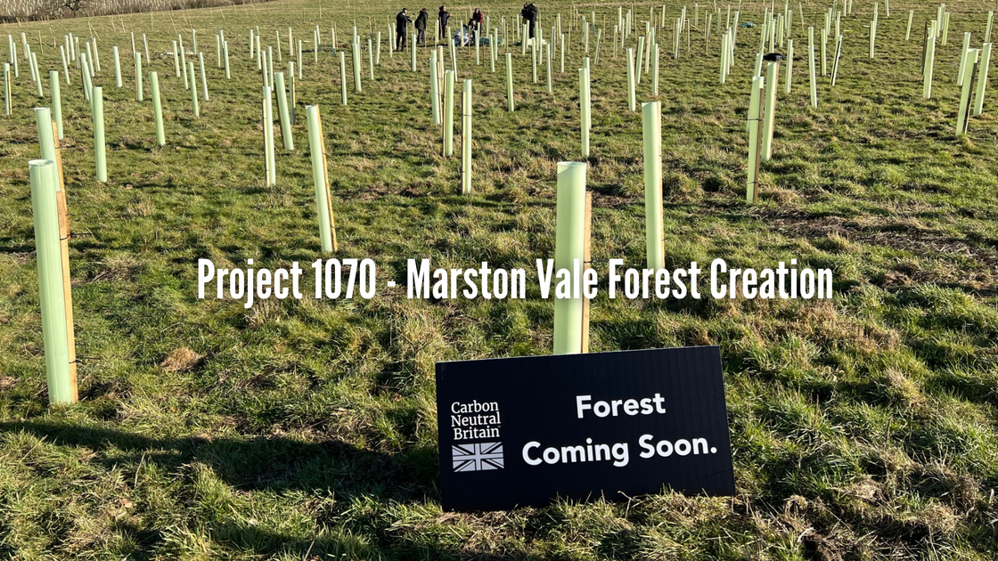 Marston Vale Forest Creation: Revitalizing Landscapes and Communities ...