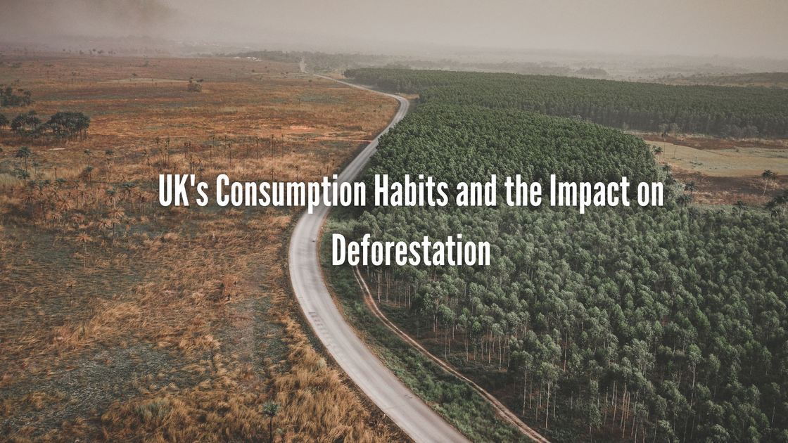 UK's Consumption Habits and the Impact on Deforestation – Carbon ...