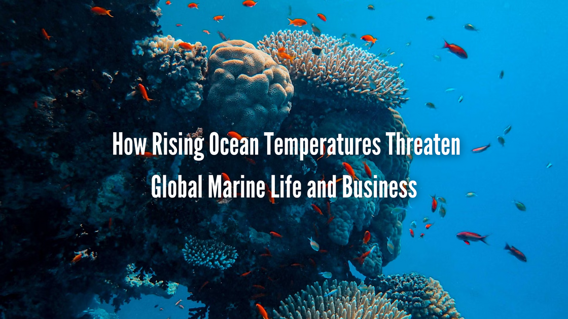 How Rising Ocean Temperatures Threaten Global Marine Life – Carbon ...