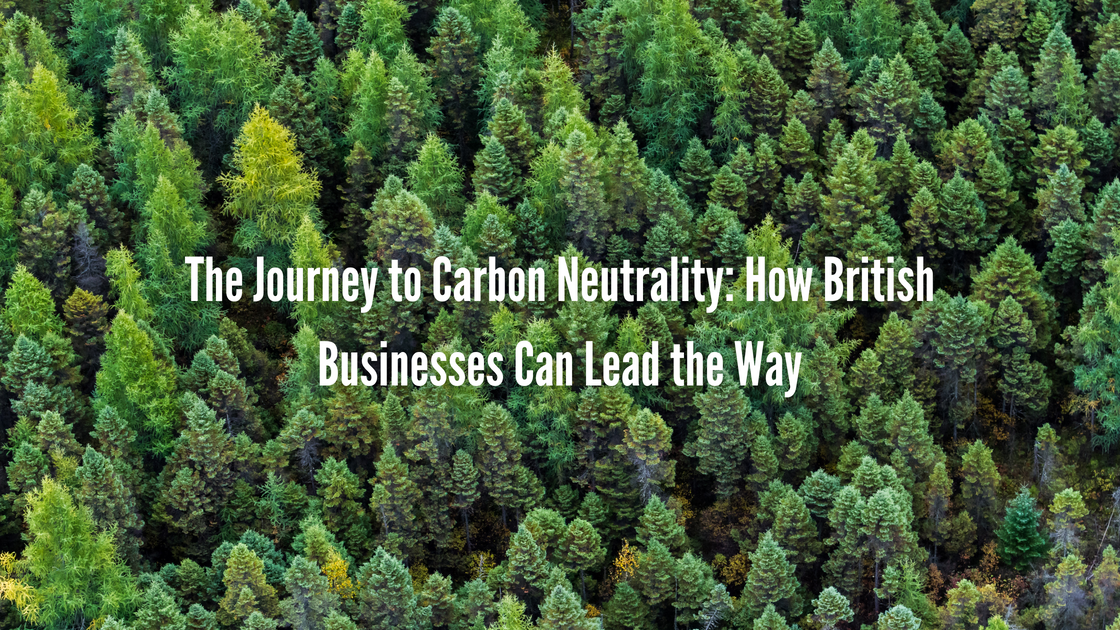 The Journey to Carbon Neutrality: How British Businesses Can Lead the ...