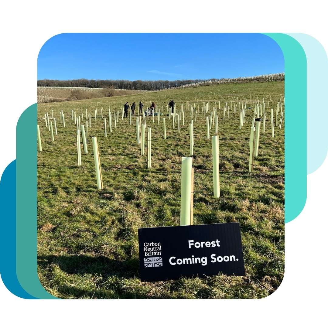 Buy Carbon Offsets UK – Carbon Neutral Britain