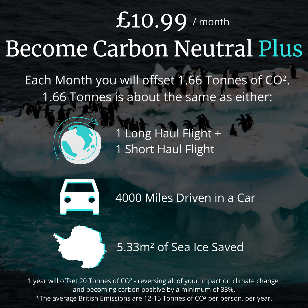 Become Carbon Neutral Plus – Carbon Neutral Britain