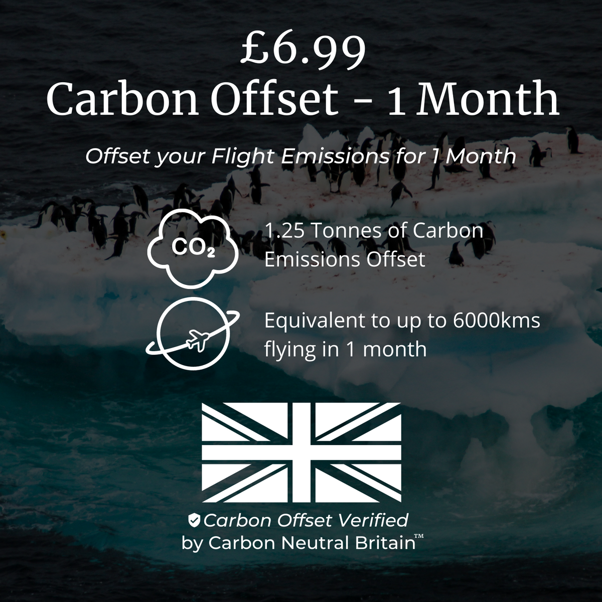 Carbon Offset Your Flight - 1 Month – Carbon Neutral Britain