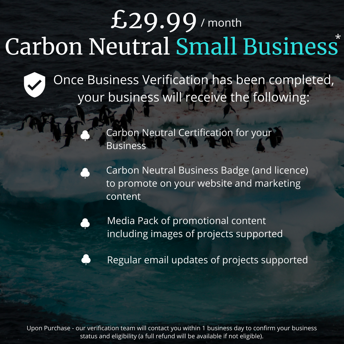 Become a Carbon Neutral Small Business – Carbon Neutral Britain