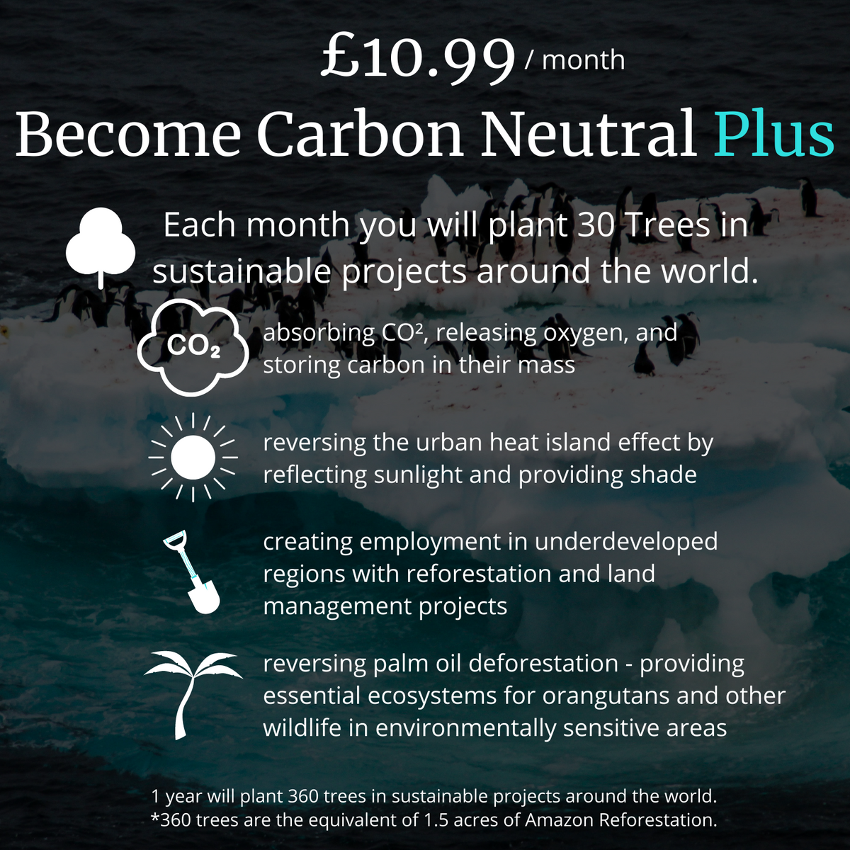 Become Carbon Neutral Plus – Carbon Neutral Britain