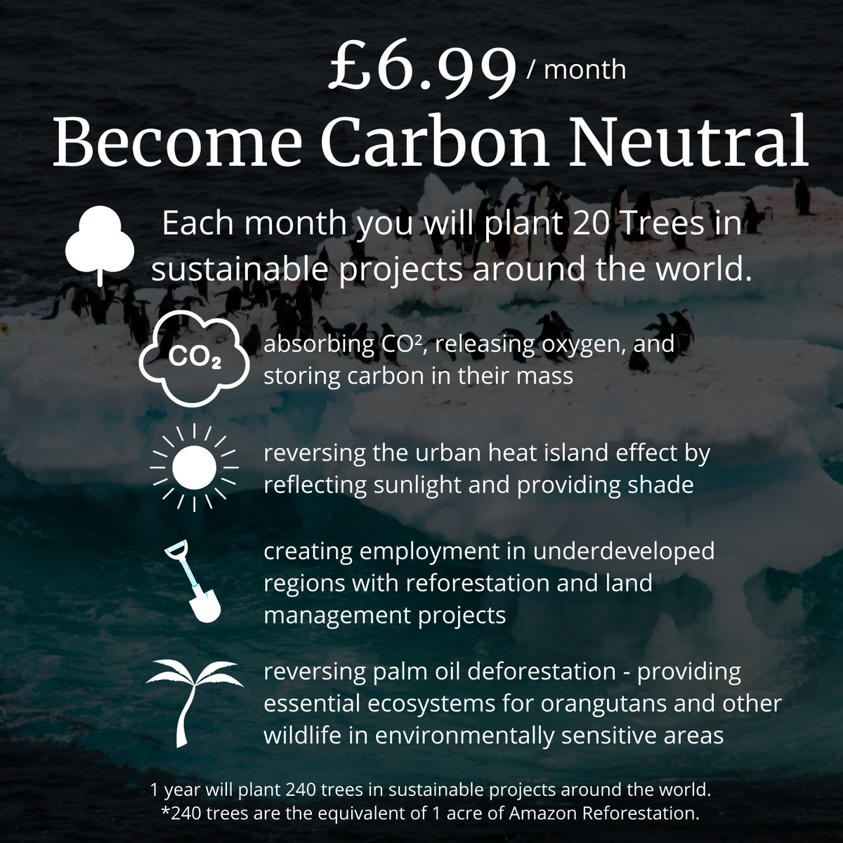 Become Carbon Neutral – Carbon Neutral Britain